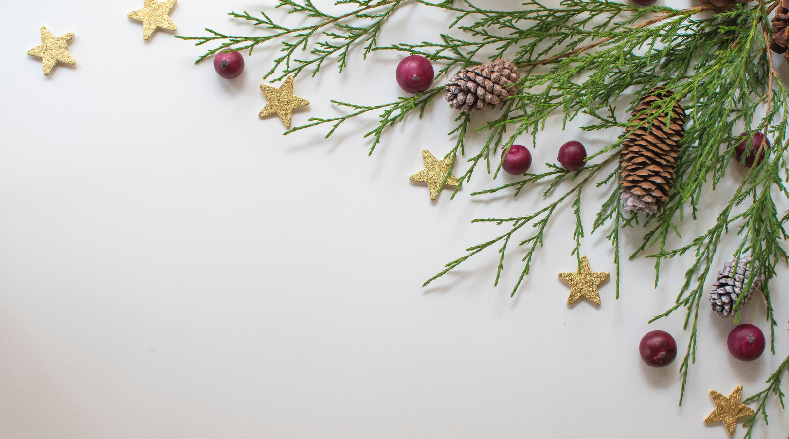 Windy Point Soap Making Supplies