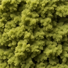 Fragrance Oil - Egyptian Oakmoss — Windy Point Soap Making Supplies