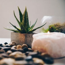 Fragrance Oil - Soothing Spa — Windy Point Soap Making Supplies